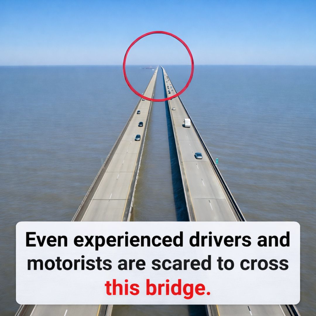 Even experienced drivers and motorists are scared to cross this bridge ...
