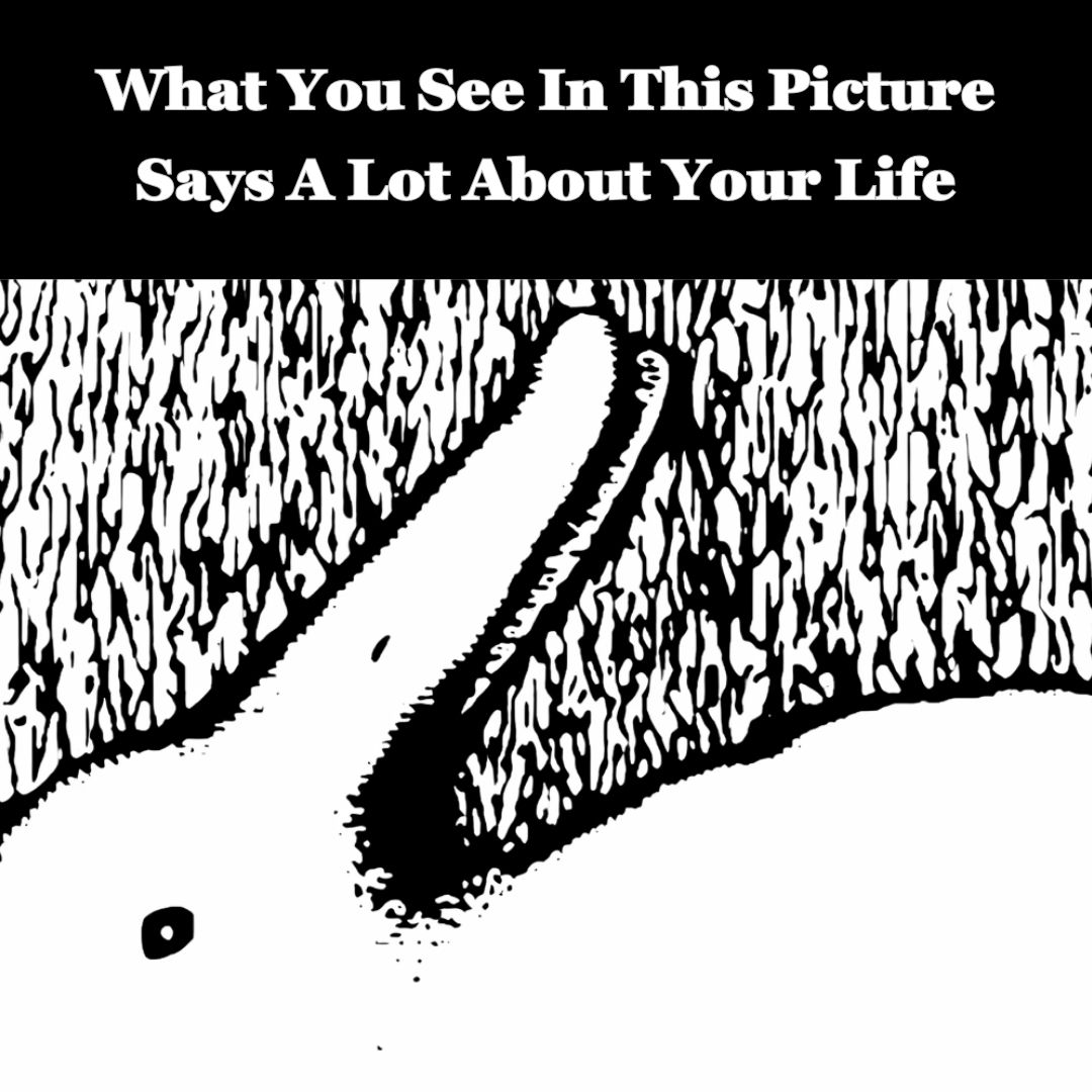 What You See In This Picture Says A Lot About Your Life - Breaking News